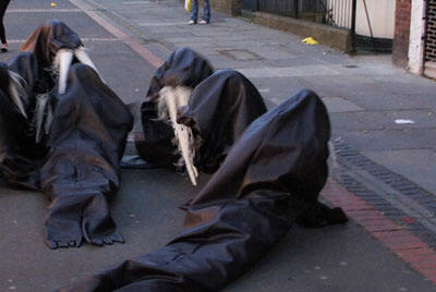 Walrus Territorial Tusk Fighting - Charli Clark